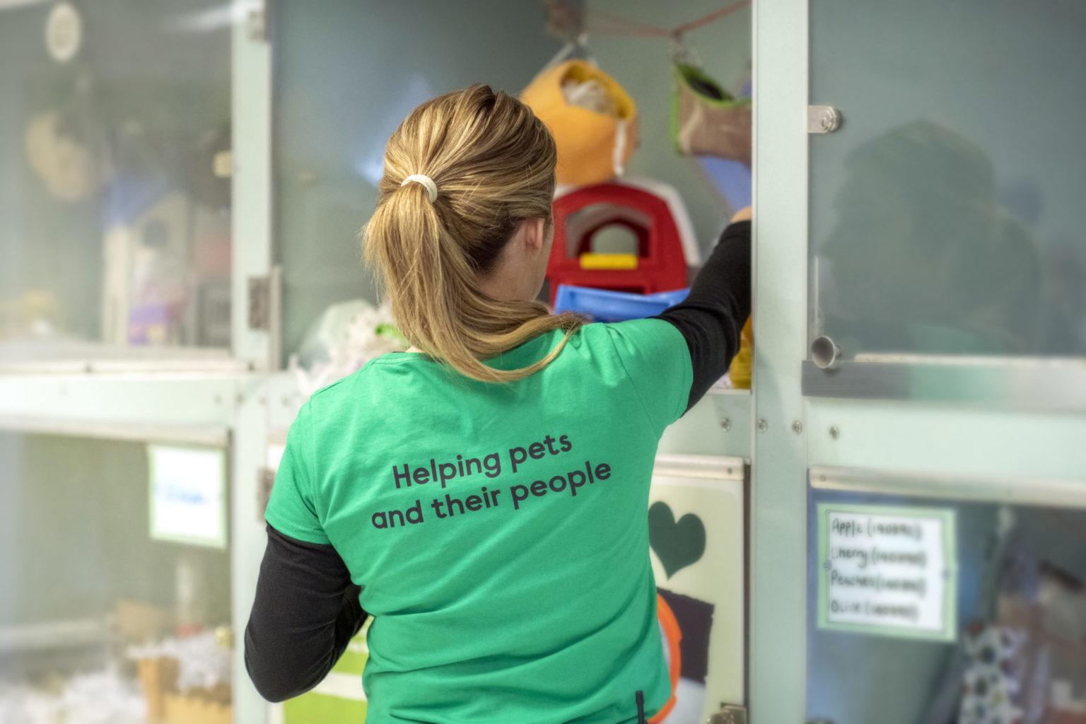 Pet Wish List Woodgreen Pets Charity Pet Wish List Woodgreen Pets Charity