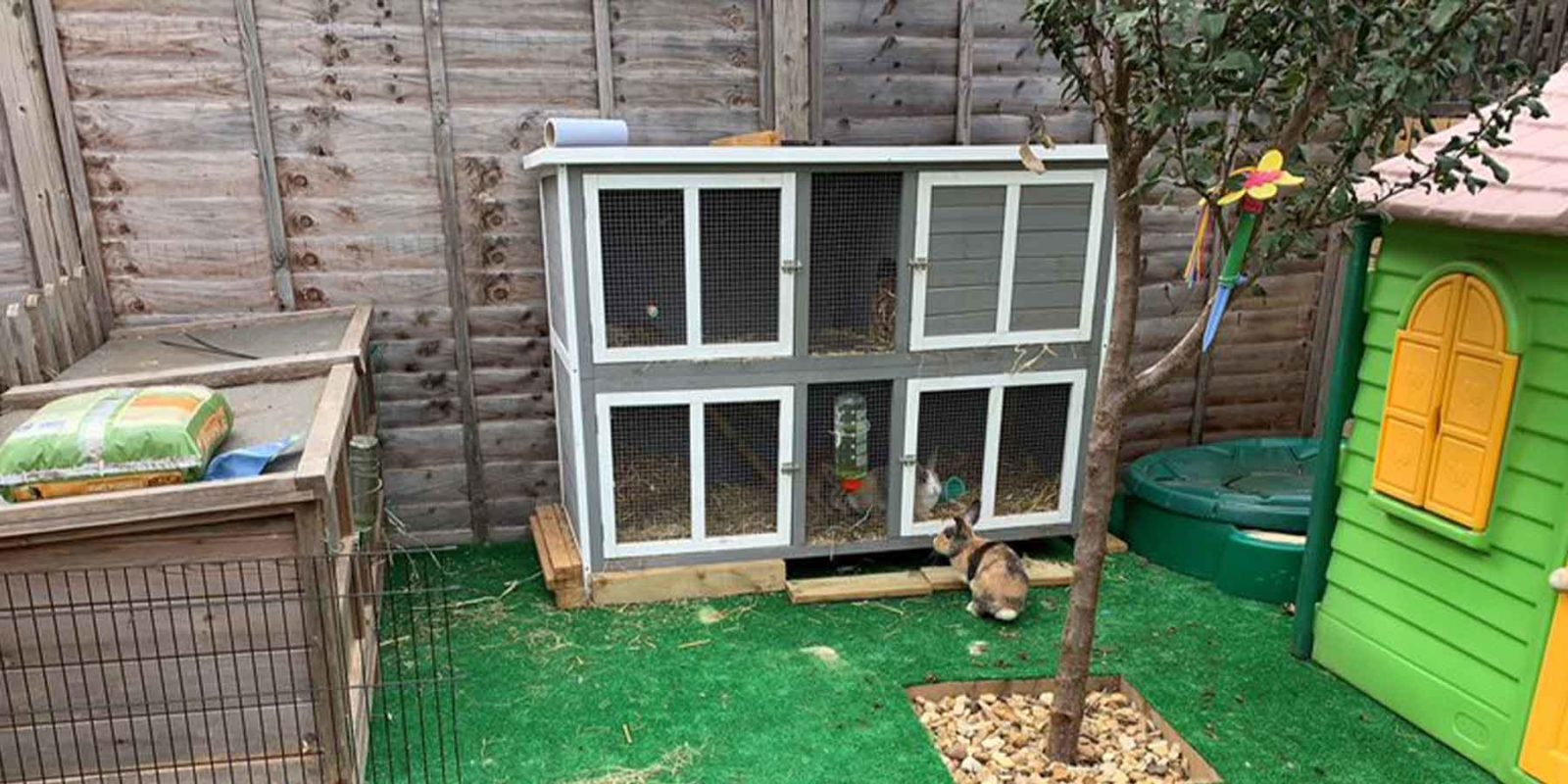 Building a better home for rabbits | Woodgreen Pets Charity