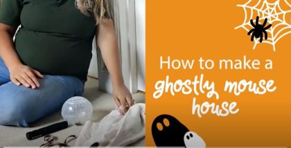 Ghost mouse house | Woodgreen Pets Charity