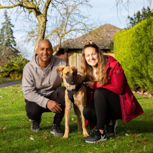 Older Rescue Dogs for Adoption: Why Adopt a Senior Dog | Woodgreen Pets ...