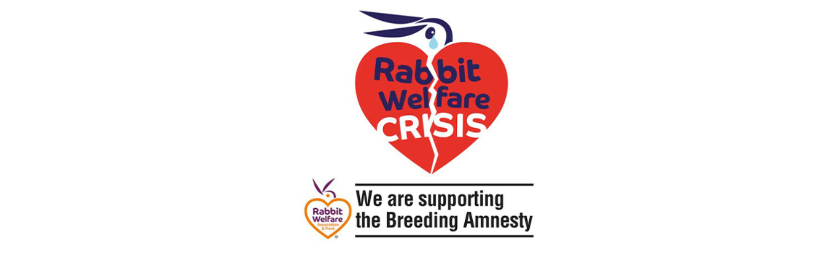 Woodgreen supports RWAF Rabbit Breeding Amnesty | Woodgreen Pets Charity
