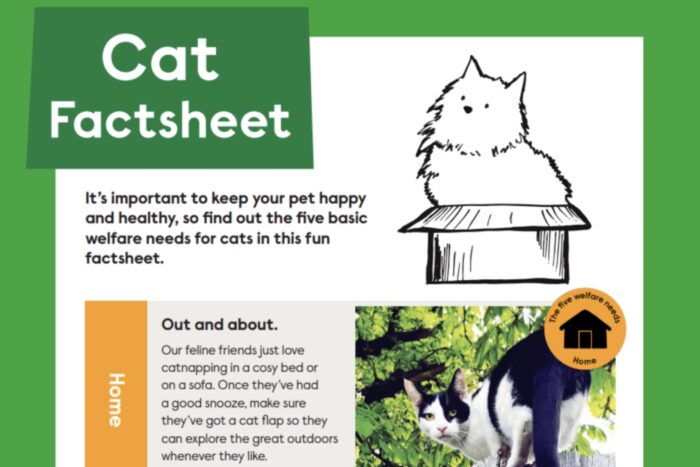 Teacher and family resources | Woodgreen Pets Charity