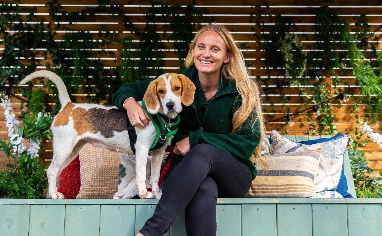 Dog training methods explained | Woodgreen Pets Charity