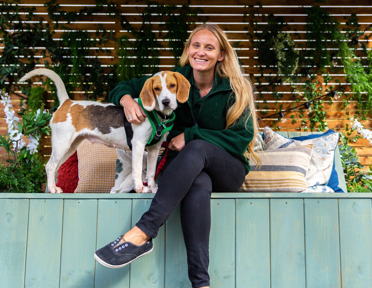 Muzzle training: your step-by-step guide | Woodgreen Pets Charity