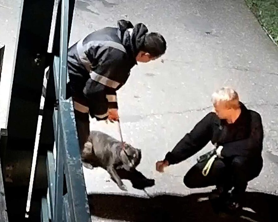 How to spot if your rabbit has blocked tear ducts | Woodgreen Pets Charity